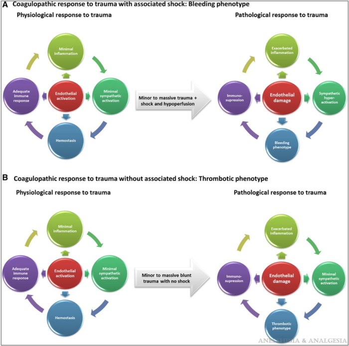 Trauma-Induced Coagulopathy - OpenAnesthesia Trauma-Induced Coagulopathy - OpenAnesthesia